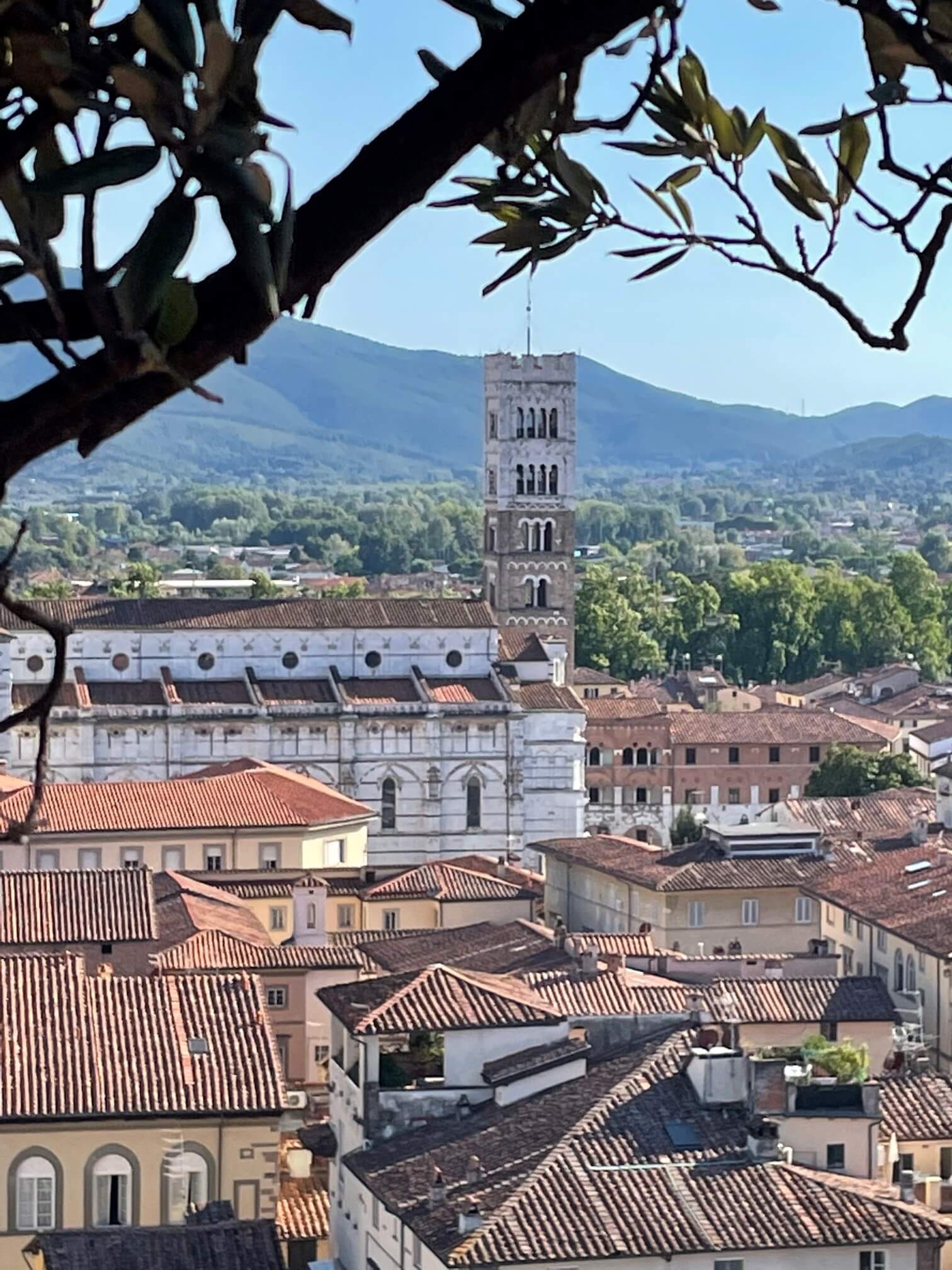 Exploring the Enchanted Tower - Torre Guinigi in Lucca